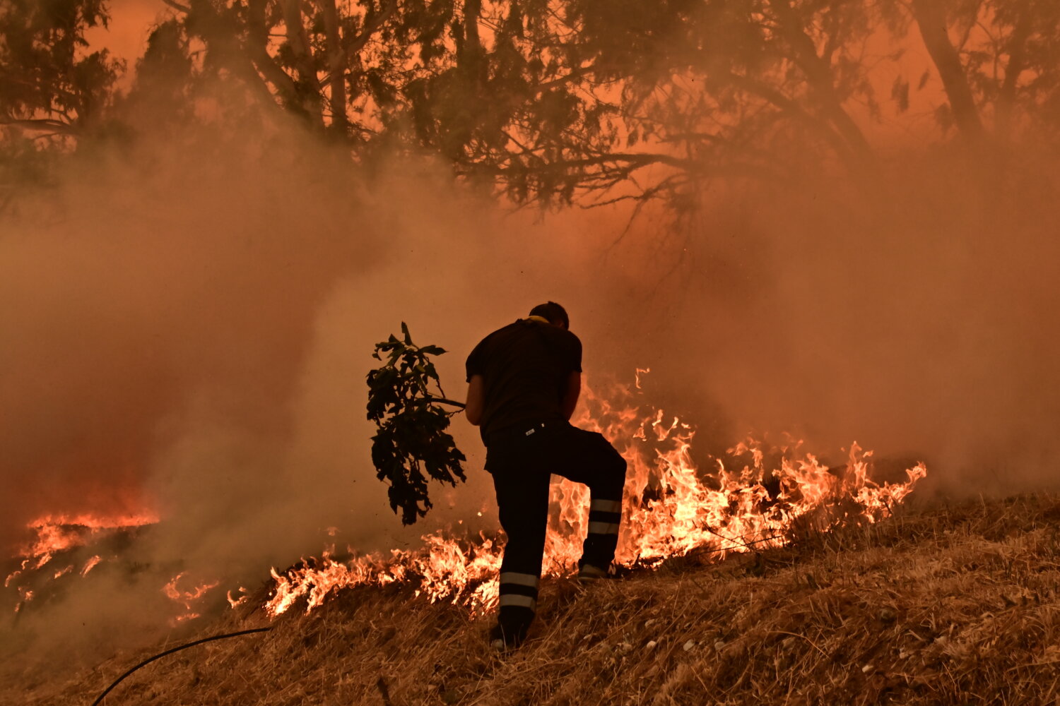 Πυρκαγιές: Αναζωπύρωση και νέο 112 στην Εύβοια - Διάσπαρτες εστίες στα ...