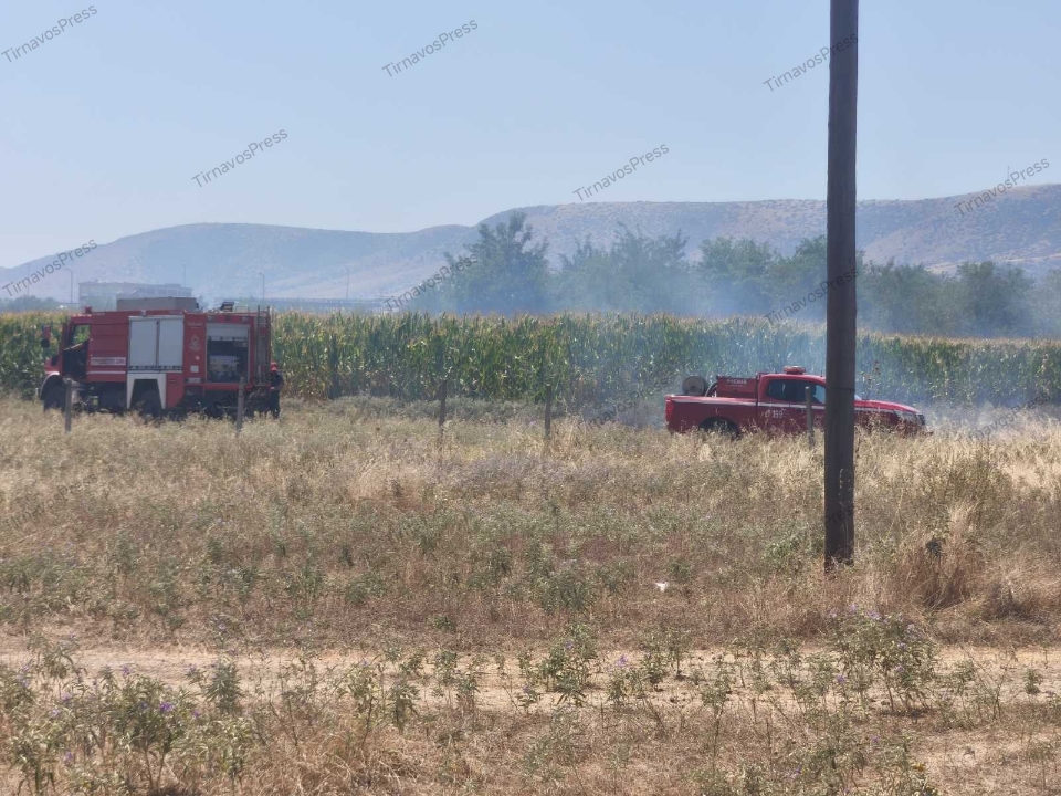 Συναγερμός στην Πυροσβεστική για φωτιά στον δρόμο Τυρνάβου – Αμπελώνα ...