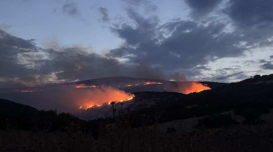 Σε εξέλιξη η πυρκαγιά στο Δαμάσι-Ενισχύθηκαν οι δυνάμεις πυρόσβεσης ...