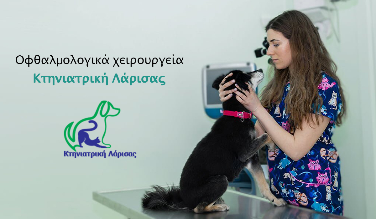 Γλαύκωμα στον σκύλο και τη γάτα - Η σημασία της έγκαιρης διάγνωσης ...