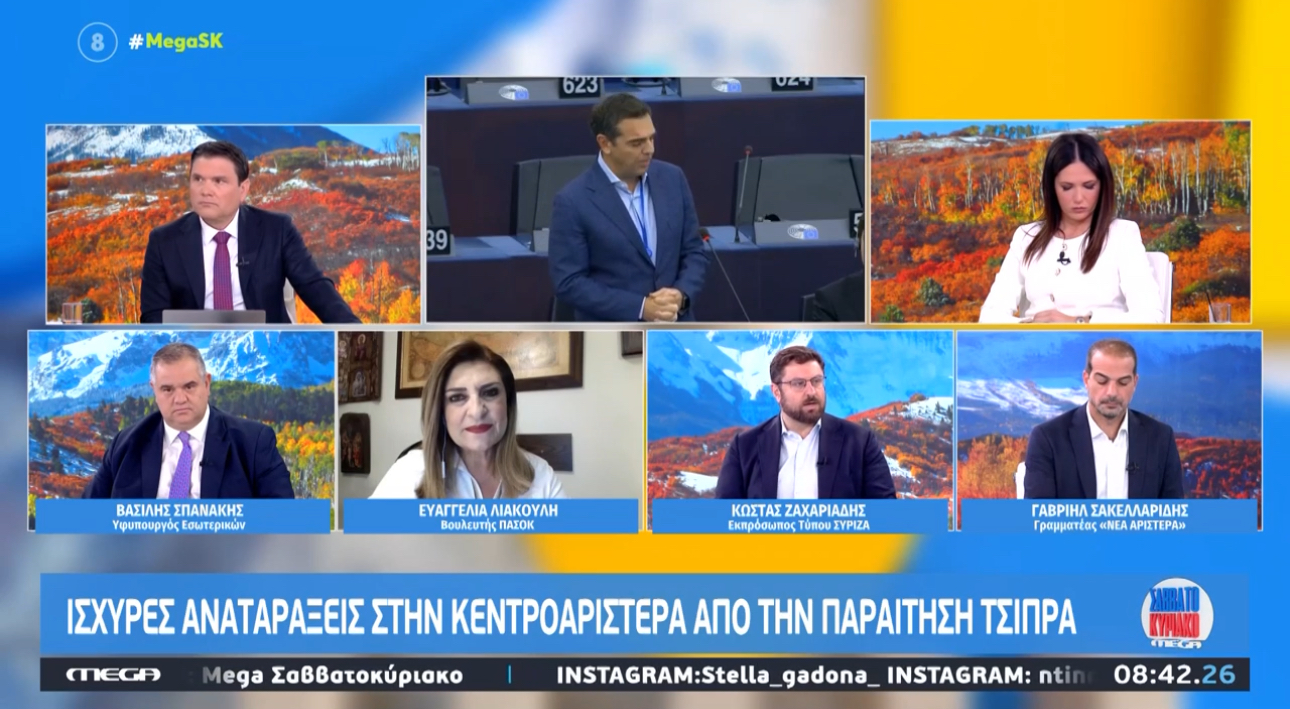 Ε. Λιακούλη στο MEGA: «Δεν αρκεί μια… κολυμπήθρα για να σωθεί η χώρα ...