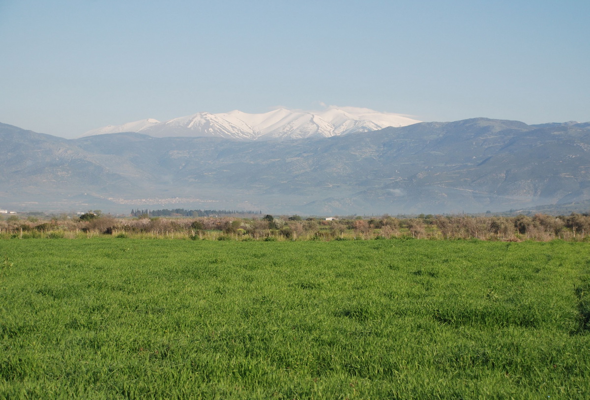 Διάλεξη στη Δημοτική Βιβλιοθήκη Συκουρίου για την κατοίκηση Λεκάνης ...